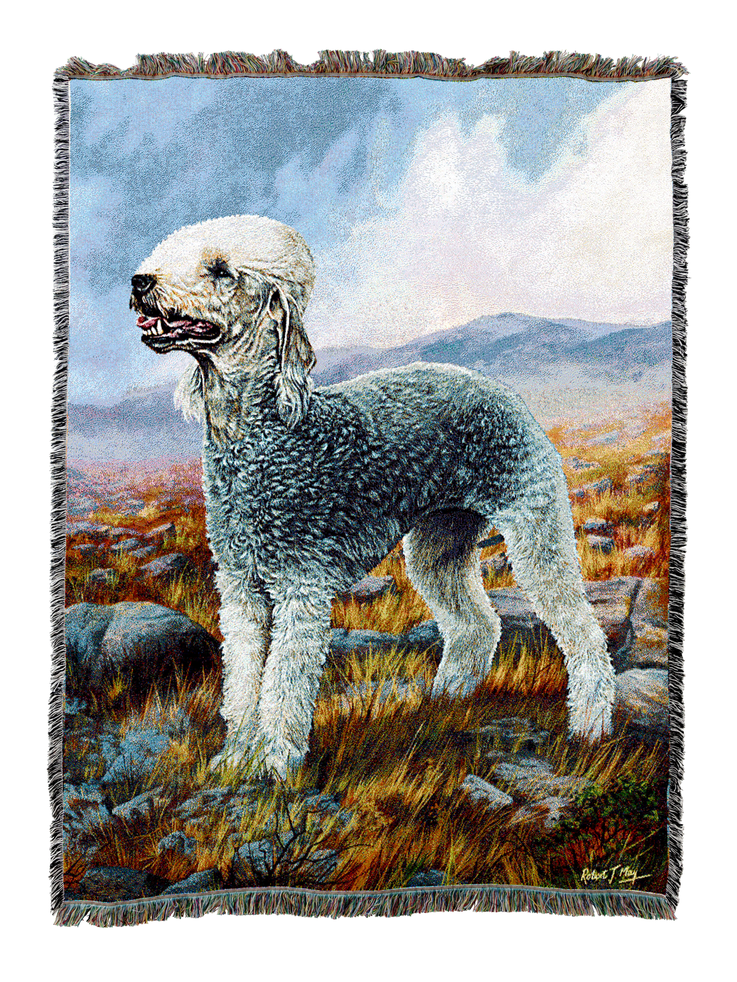 Bedlington Terrier – Pure Country Weavers