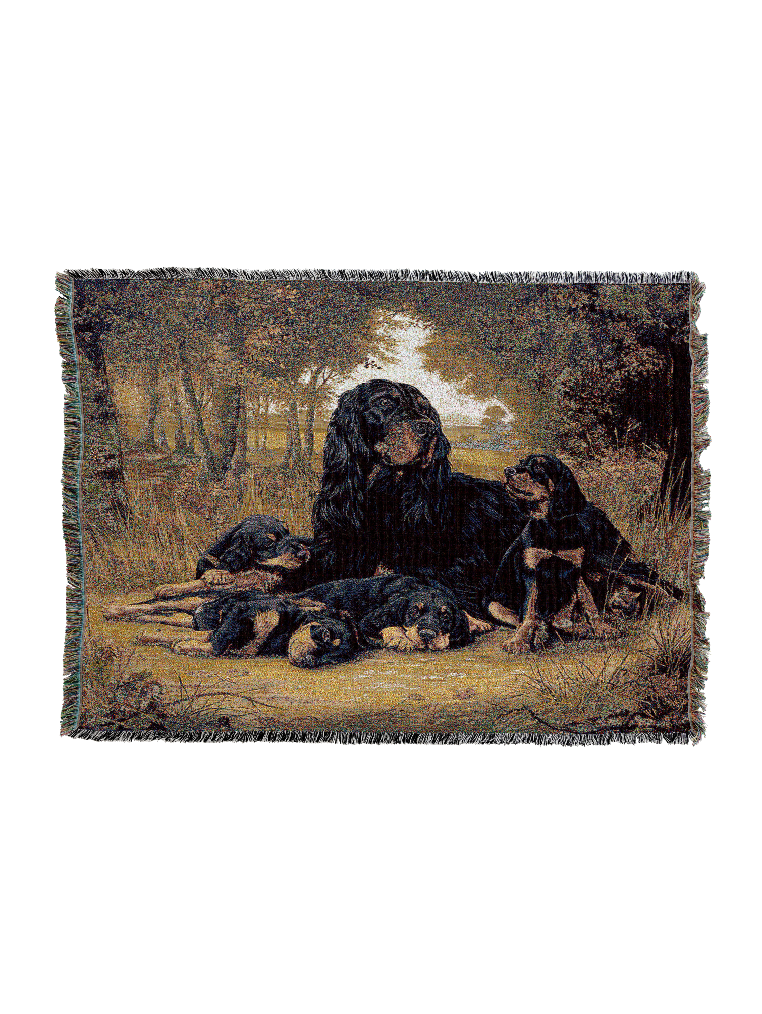 Gordon Setter Blanket – Pure Country Weavers